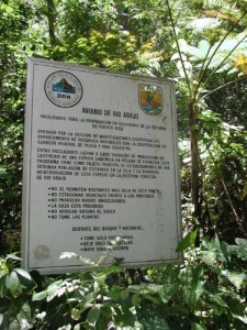 The Recovery Program of the Puerto Rican Parrot – Continued | D.M.P ...